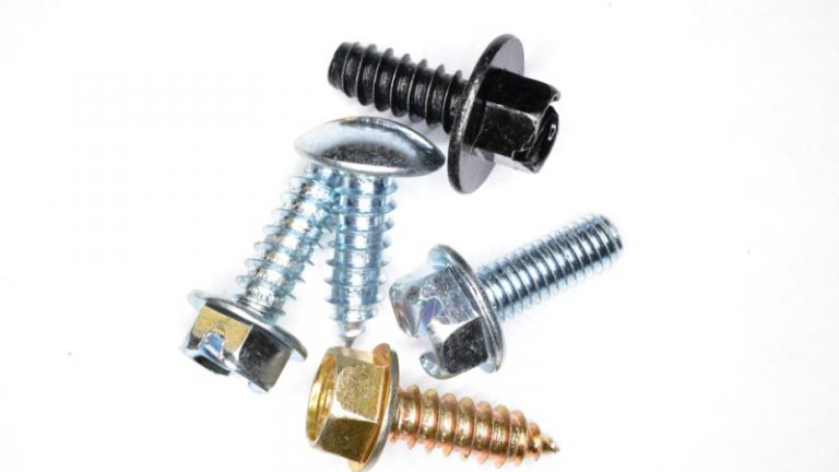 What size are license plate screws? Choose the Right Size | Rx Mechanic