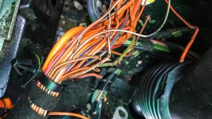 How to Prevent Rats from Eating Car Wires? | Rx Mechanic