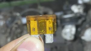 What Does A Blown 5 Amp Fuse Look Like? – Rx Mechanic