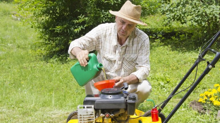 What Kind Of Oil Does A Lawn Mower Take Rx Mechanic what-kind-of-oil-does-a-lawn-mower-take-rx-mechanic